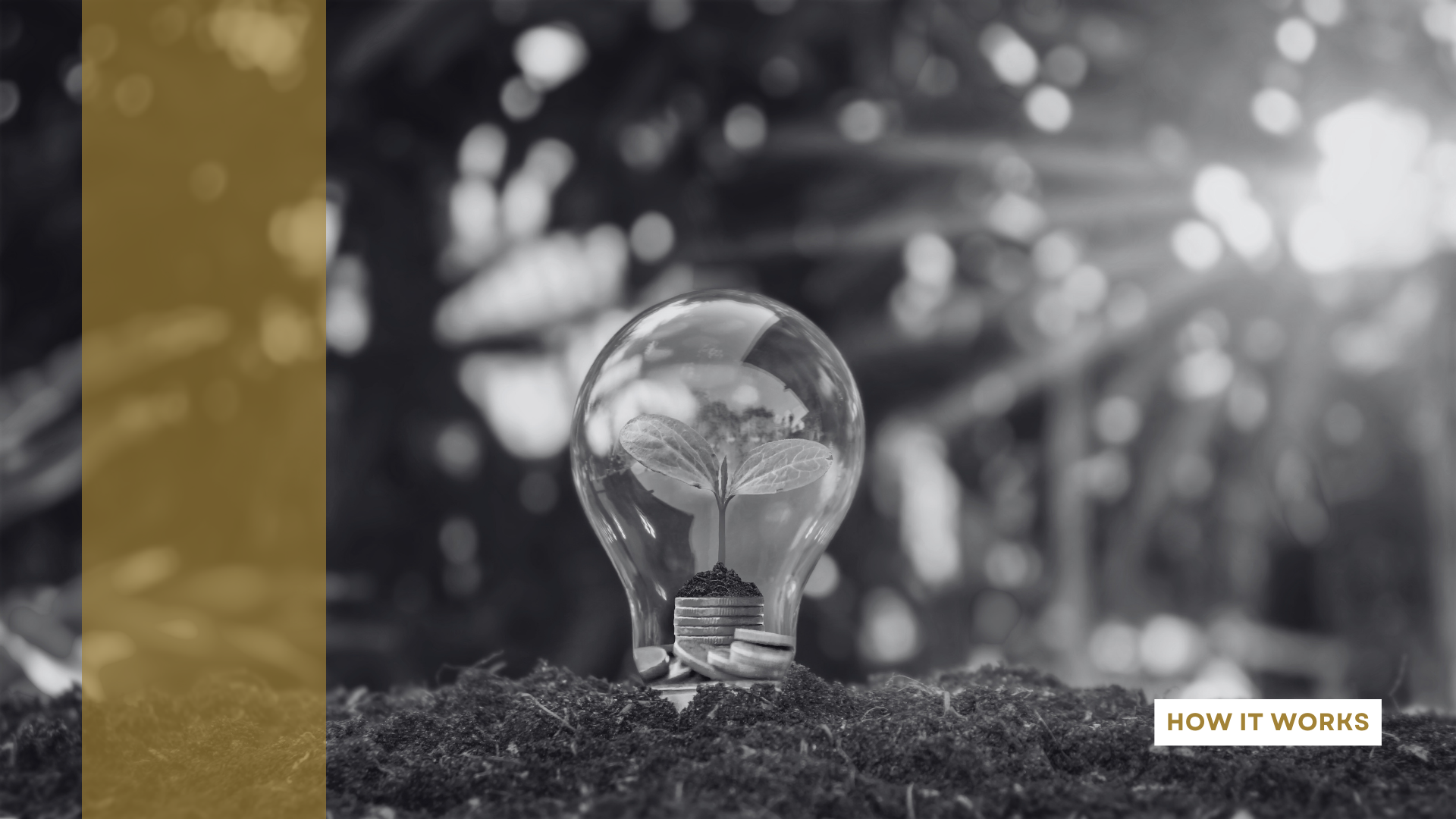 Actarus Renewables and the Future of Biomethane: The Revolutionary ...